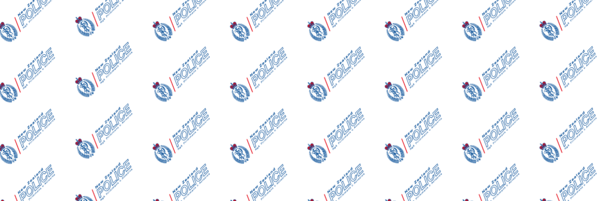 NZDA Submission on Firearms Registry Consultation | New Zealand ...