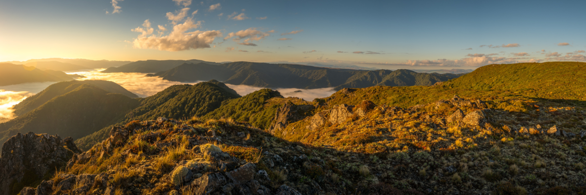 NZDA Makes Submission on National Aerial Operations Plan 2023 ...